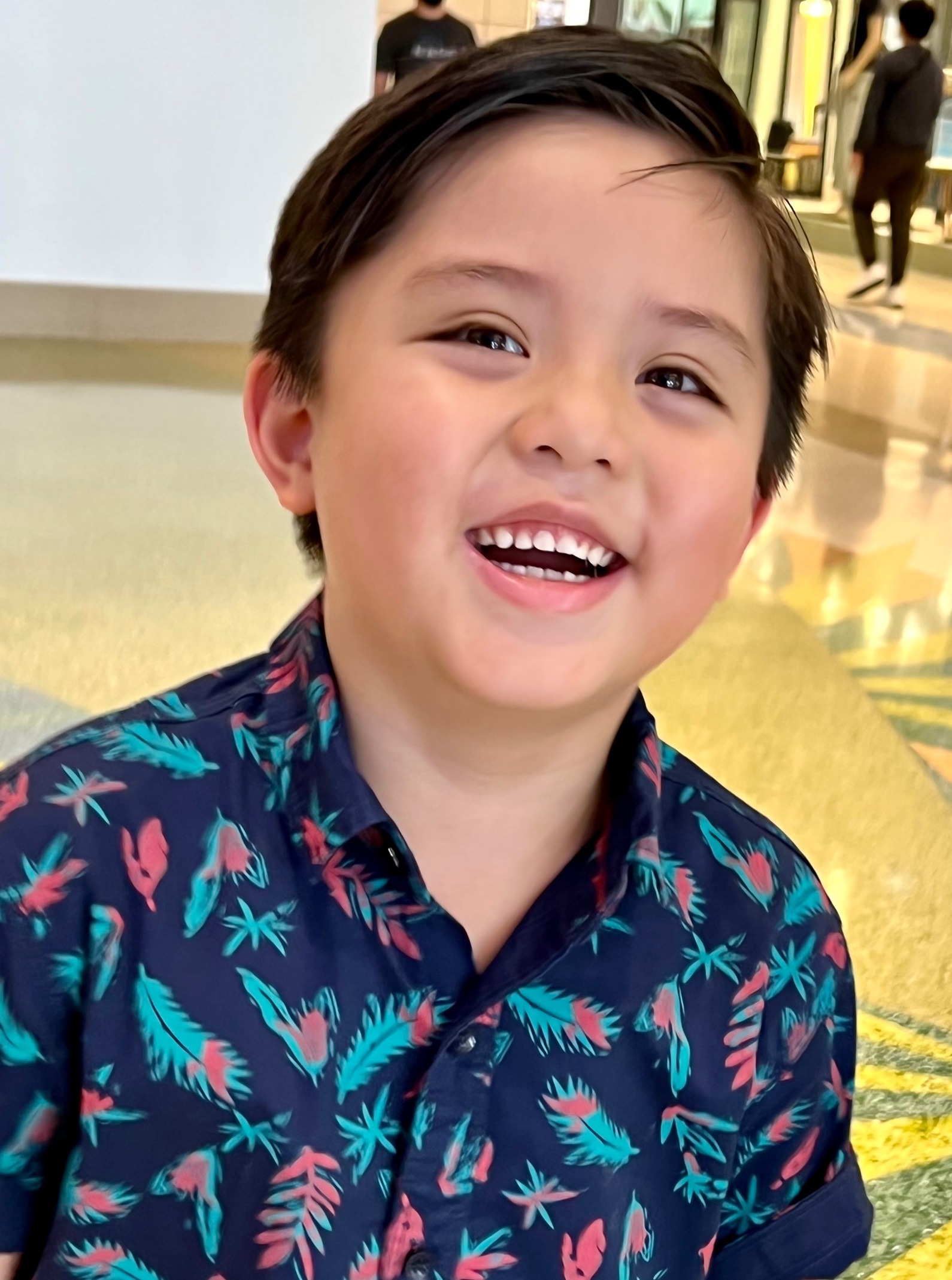 Janluke Vincci. Models in uae