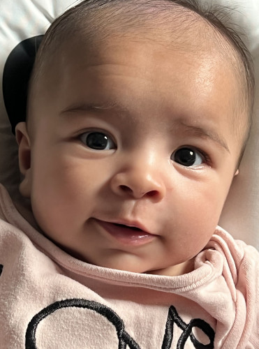 Discover Amirs unique portfolio on MMG Talent!